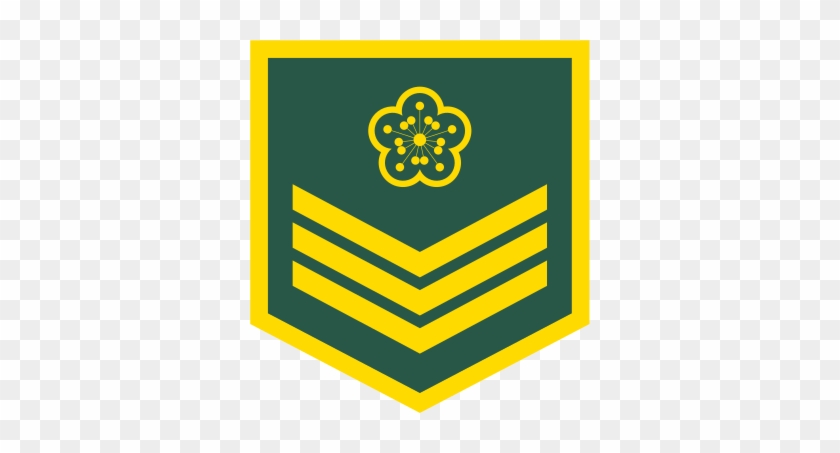 Taiwanese Specialist Rank Insignia - Taiwanese Specialist Rank Insignia ...