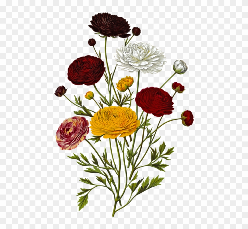 Toutes Les Fleurs, Clip Art - Toutes Les Fleurs, Clip Art - Free ...