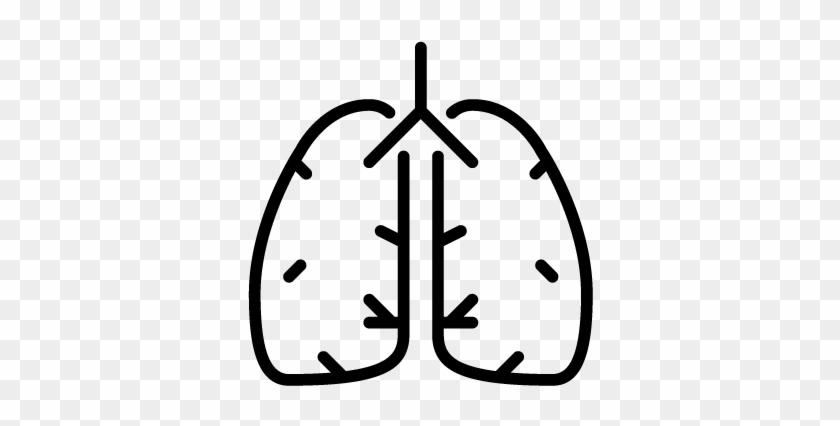 Lung Function - Lung Function - Free Transparent PNG Clipart Images ...