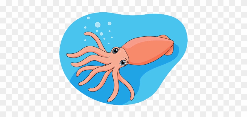 Squid - Squid - Full Size PNG Clipart Images Download