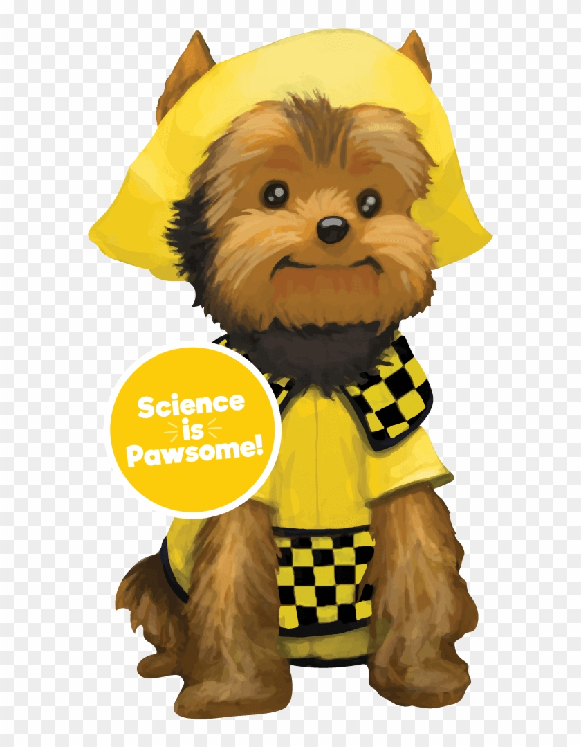 Schmitty The Weather Dog Book - Schmitty The Weather Dog Book - Free ...