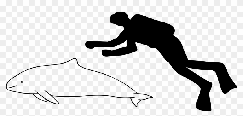 Svg Transparent Harbor Drawing Harbour - Svg Transparent Harbor Drawing ...