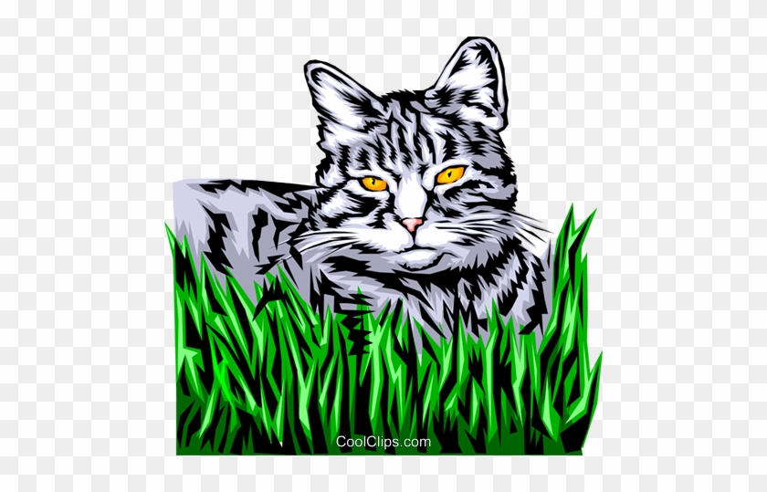 Domestic Cat Royalty Free Vector Clip Art Illustration - Domestic Cat ...