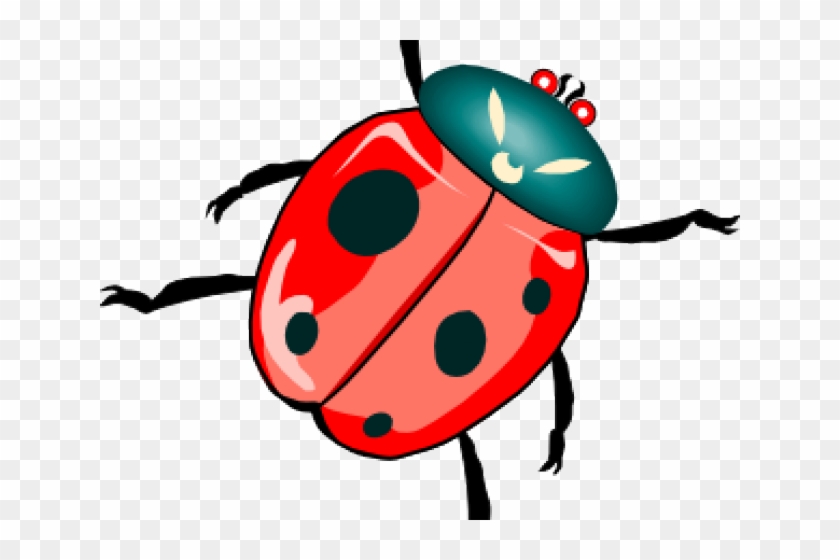 Insect Clipart - Insect Clipart - Free Transparent PNG Clipart Images ...