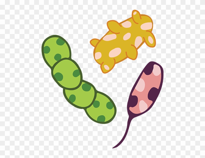 Bacteria - Bacteria - Full Size PNG Clipart Images Download