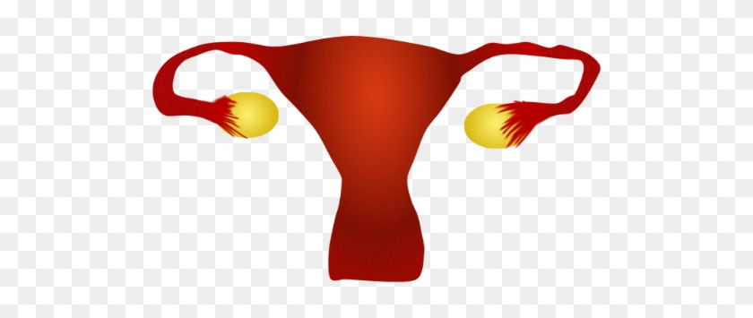 Uterus - Uterus - Full Size PNG Clipart Images Download