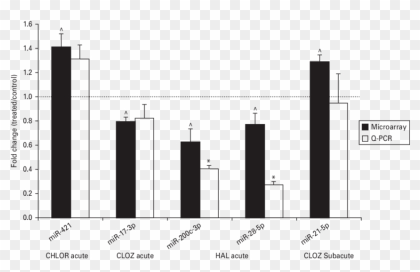 Quantitative Real Time Polymerase Chain Reaction Validation