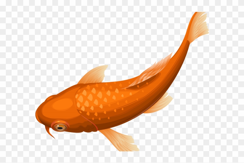 Fish Clipart Clear Background - Fish Clipart Clear Background - Full ...