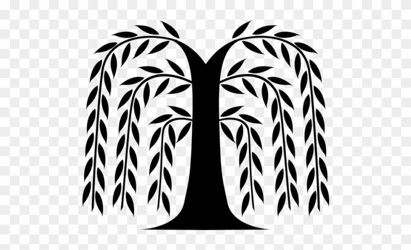 Willow Tree Png - Willow Tree Png - Full Size PNG Clipart Images Download