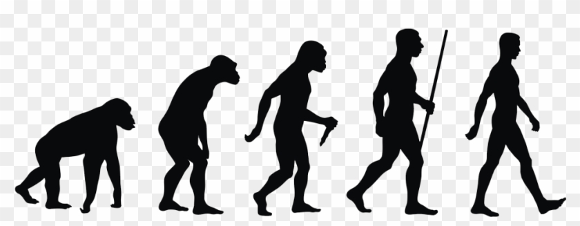 Evolution Transparent Chain Human - Evolution Transparent Chain Human ...