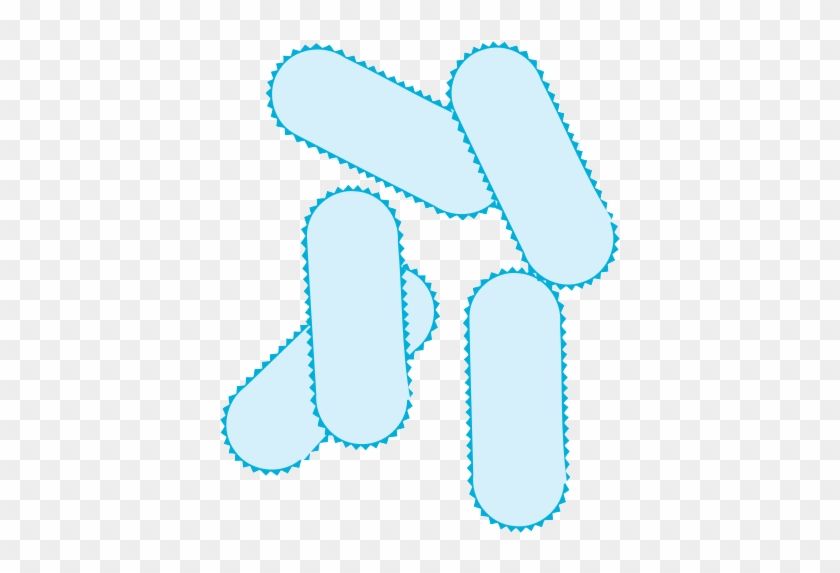 Bacteria Png Picture - Bacteria Png Picture - Full Size PNG Clipart ...