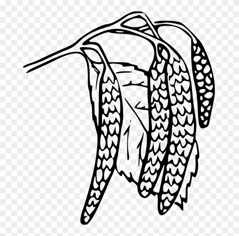 Kitten Catkin Coloring Book Drawing - Kitten Catkin Coloring Book ...