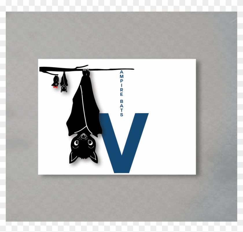 Vampire Bat, Alphabet, Alphabetimal, Letter, V, Card - Alphabet - Full ...