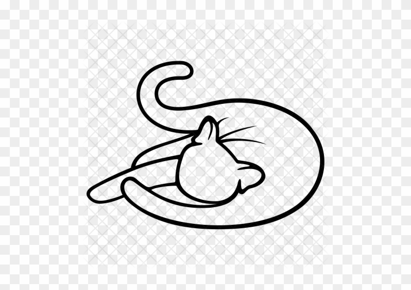 Cat Icon - Icon - Full Size PNG Clipart Images Download