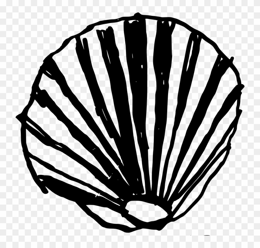 Oyster Clipart Fossil Shell - Oyster Clipart Fossil Shell - Free ...