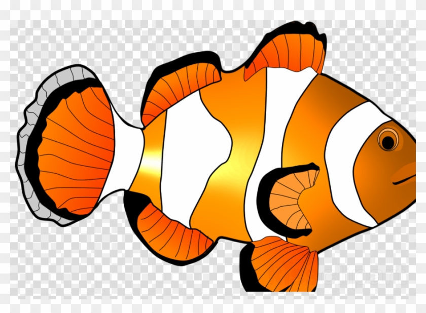 Fish Clipart Clownfish Clip Art - Fish Clipart Clownfish Clip Art ...