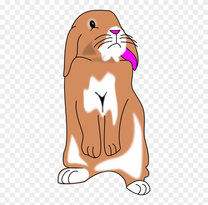 Hare Domestic Rabbit Sad - Hare Domestic Rabbit Sad - Full Size PNG ...