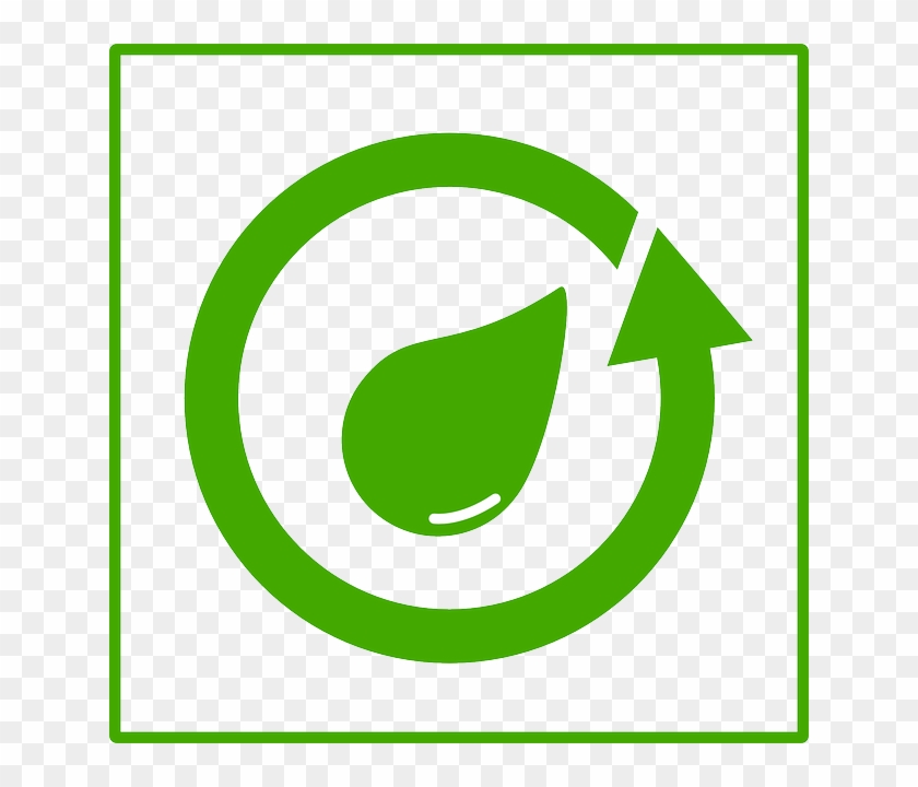 Conserving Water And Going Green - Conserving Water And Going Green ...
