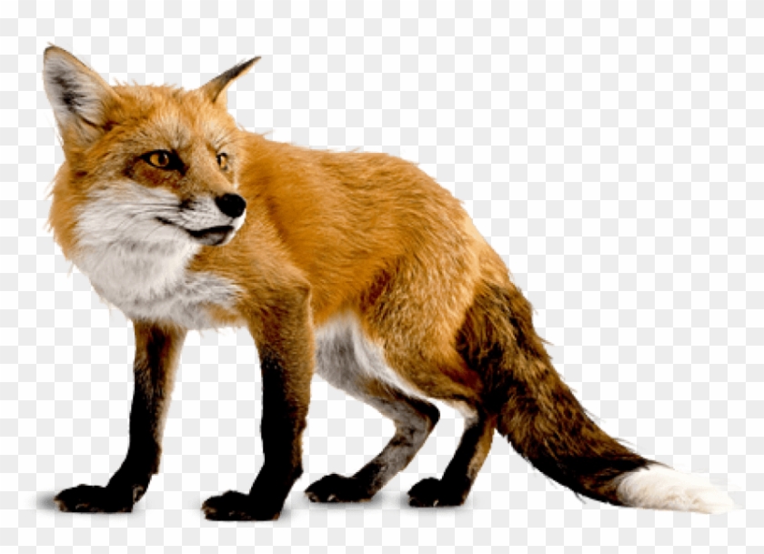 Free Png Images - Free Png Images - Free Transparent PNG Clipart Images ...