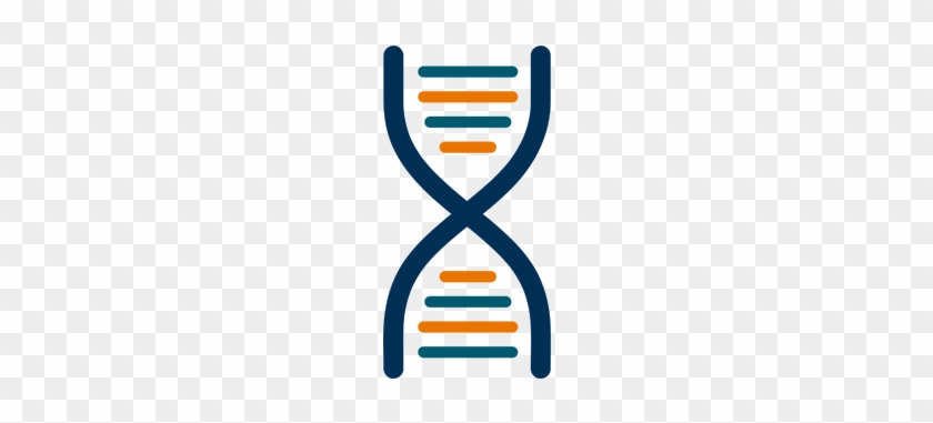 Health Sciences - Health Sciences - Free Transparent PNG Clipart Images ...