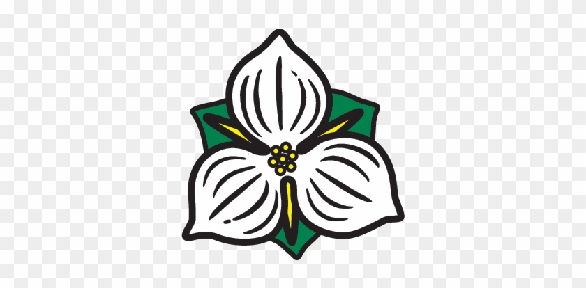 Niagara-trillium - Niagara-trillium - Free Transparent PNG Clipart ...