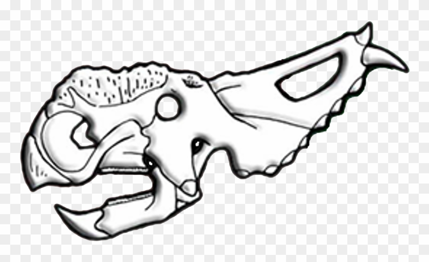 Pachyrhinosaurus Skull Diagram - Pachyrhinosaurus Skull Diagram - Free ...