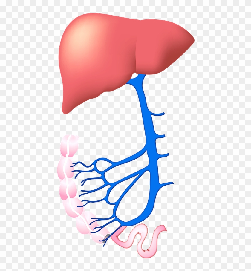 Causes - Causes - Full Size PNG Clipart Images Download