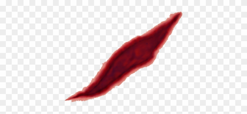 Wound Image Clip Art Adobe Photoshop - Wound Image Clip Art Adobe ...