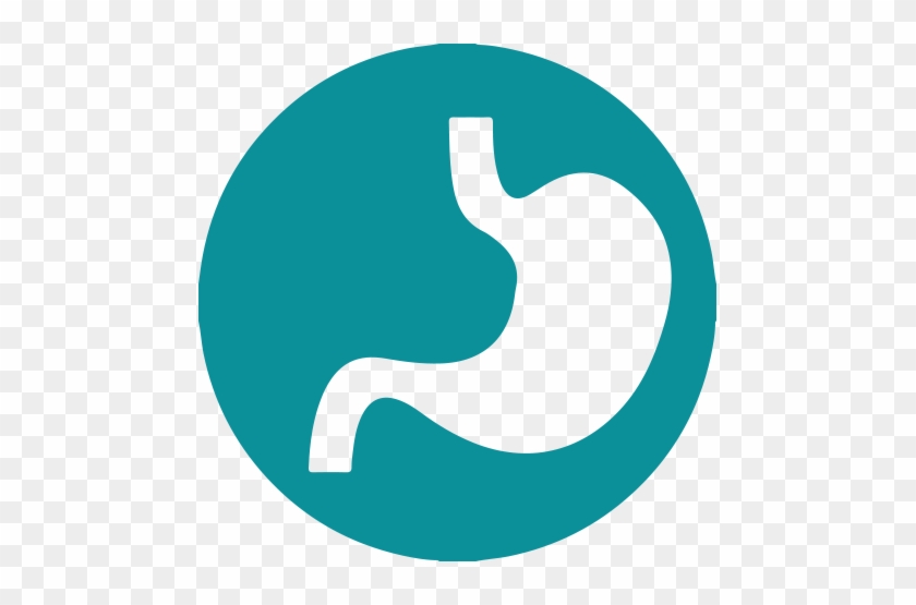 Endocrine System Clipart - Endocrine System Clipart - Free Transparent ...