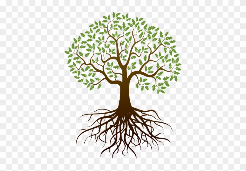 Tree Root Png - Tree Root Png - Free Transparent PNG Clipart Images ...