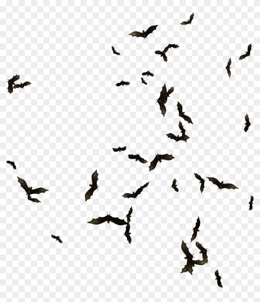 Clip Art Freeuse Library Vector Bats Swarm Bat - Clip Art Freeuse ...