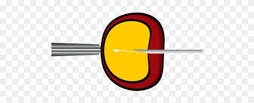 Ivf Success - Ivf Success - Free Transparent PNG Clipart Images Download