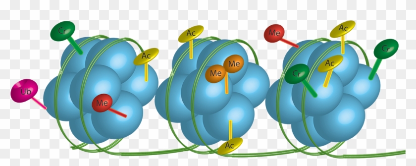 Michael Goldstein Lab - Michael Goldstein Lab - Free Transparent PNG ...