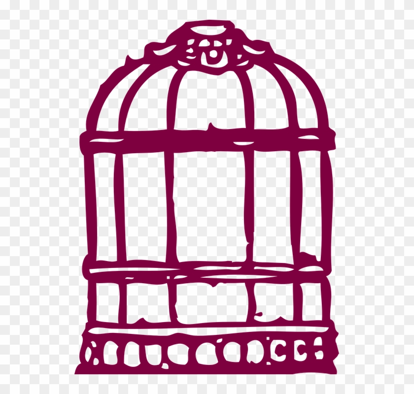 Birdcage Vintage Baroque Victorian Beautiful Old - Know Why The Caged ...