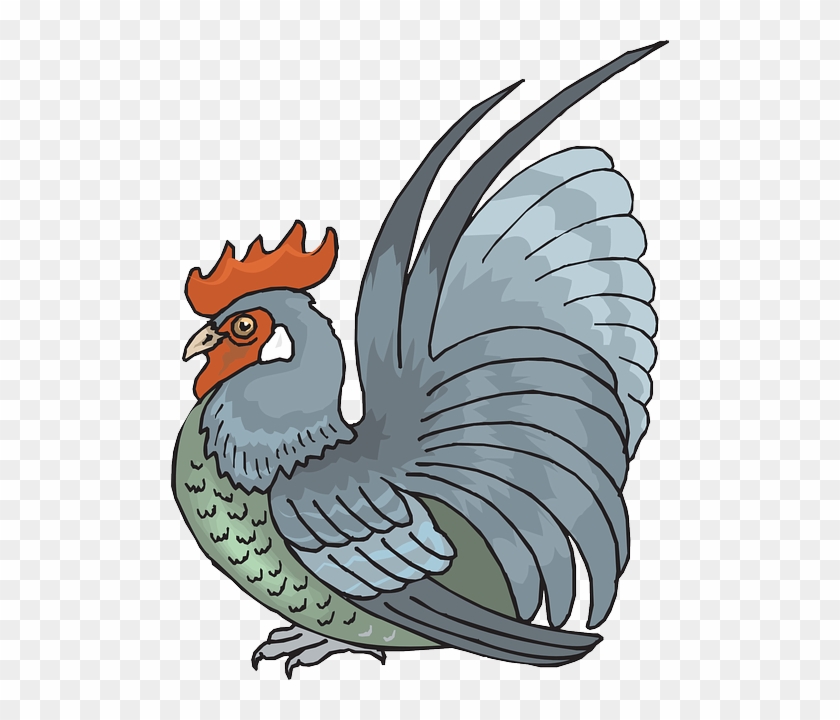 Bird, Rooster, Animal, Feathers, Crouching - Cockrel Chicken Clipart ...