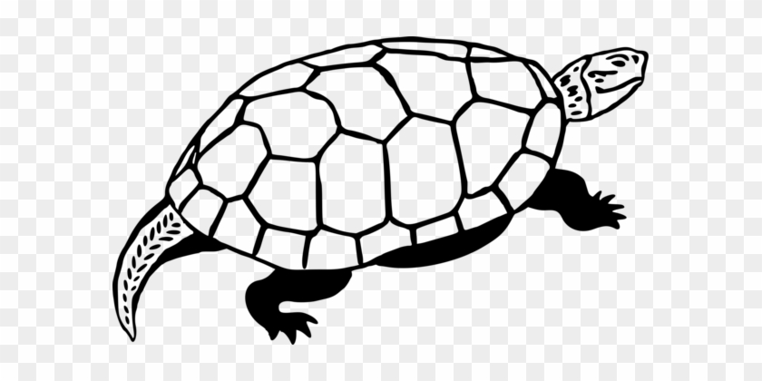 Sea Turtle Reptile Line Art Drawing - Sea Turtle Reptile Line Art ...