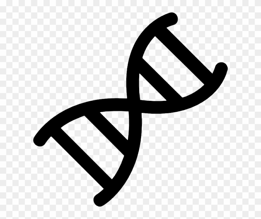 Dna Png - Dna Png - Full Size PNG Clipart Images Download