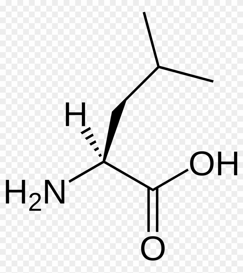A Chemical Structure Diagram Of Leucine - A Chemical Structure Diagram ...