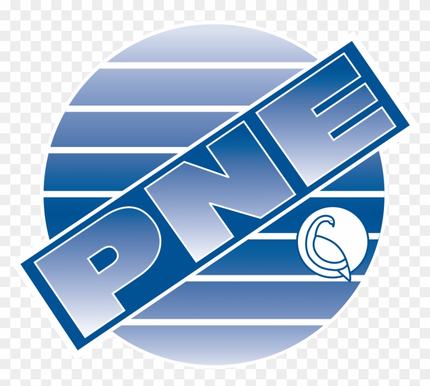 Pne Corporation - Pne Corporation - Free Transparent PNG Clipart Images ...