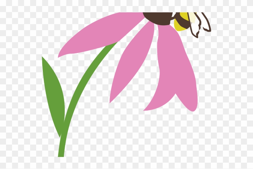 Pollination Clipart Insect - Pollination Clipart Insect - Free ...