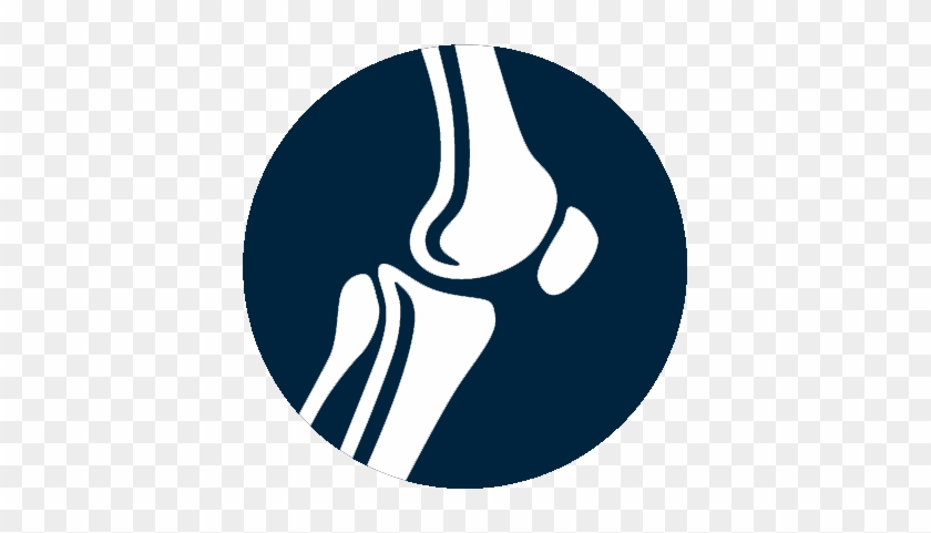 Bone Densitometry - Bone Densitometry - Free Transparent PNG Clipart ...