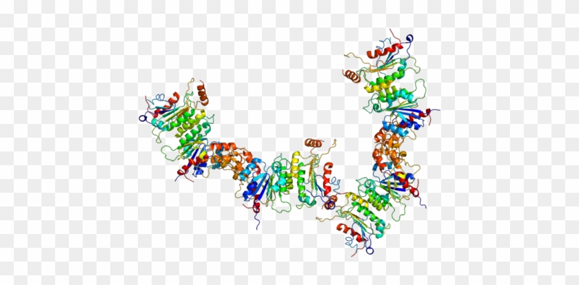 Epigenetics In Aml - Epigenetics In Aml - Free Transparent PNG Clipart ...