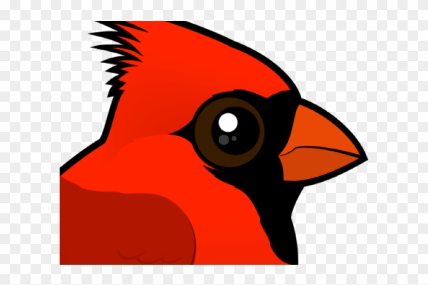 Cardinal Clipart Cardinal Head - Cardinal Clipart Cardinal Head - Free ...