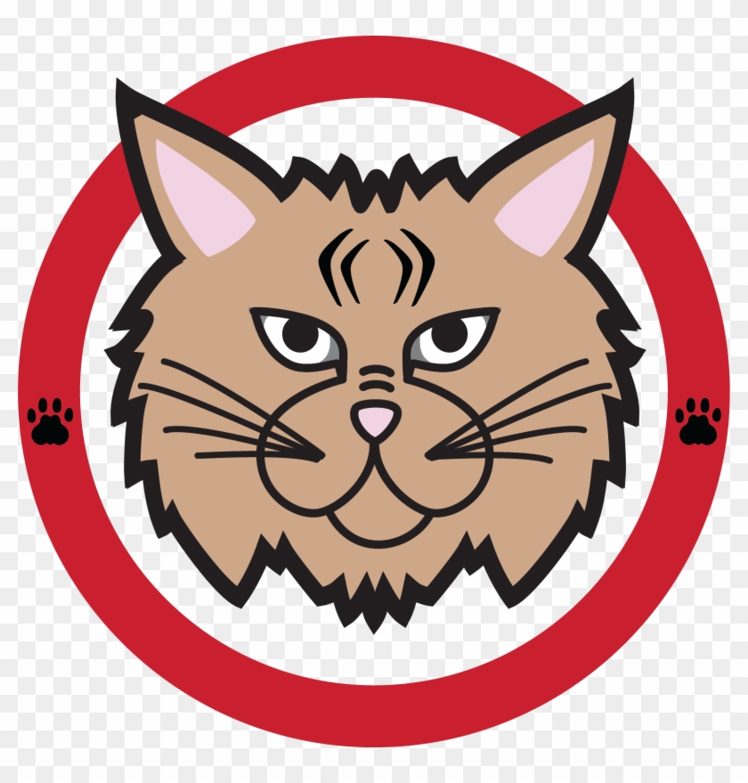 Mccoy - Mccoy - Free Transparent PNG Clipart Images Download