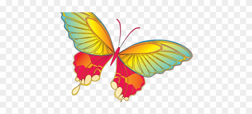 Microsoft Clipart Butterfly - Microsoft Clipart Butterfly - Free ...