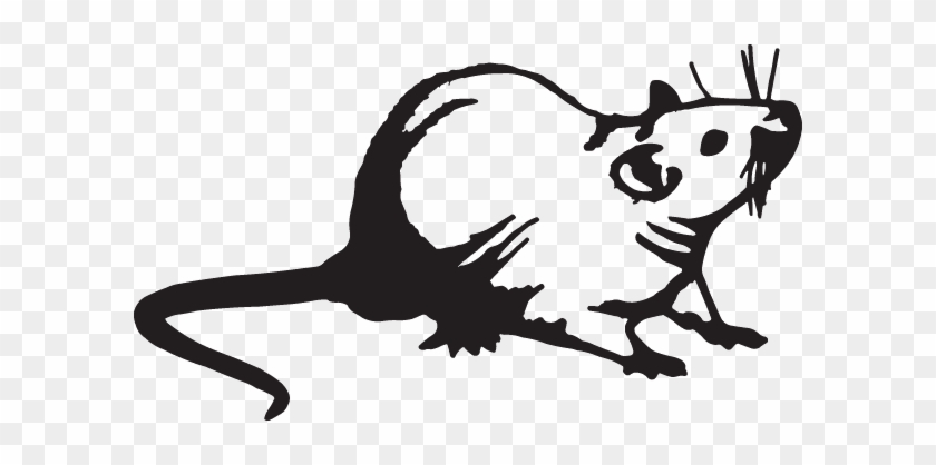 Rat Decal Png Rat Decal - Rat Decal Png Rat Decal - Free Transparent ...