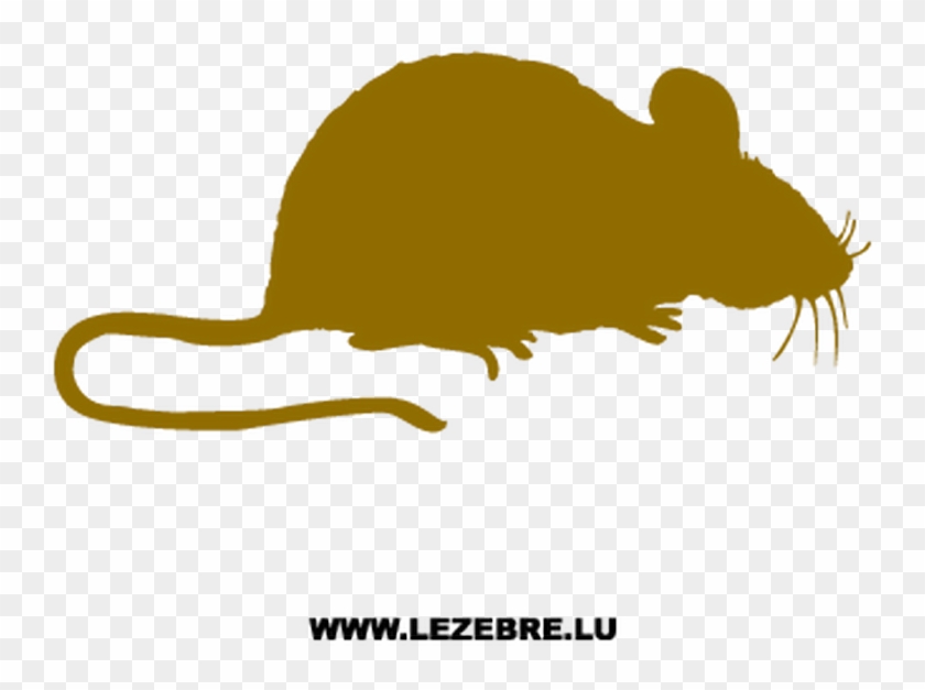 Autocollant Rat Png Rat Decal - Autocollant Rat Png Rat Decal - Full ...