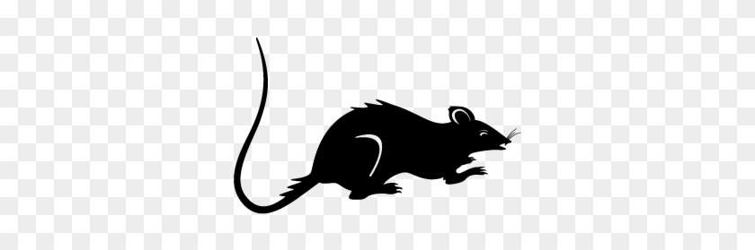 Rat Decal Png Rat Decal - Rat Decal Png Rat Decal - Free Transparent ...