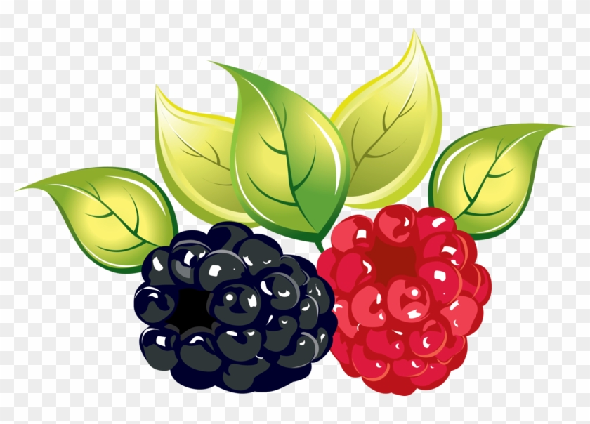 Rasberry Clipart - Rasberry Clipart - Free Transparent PNG Clipart ...