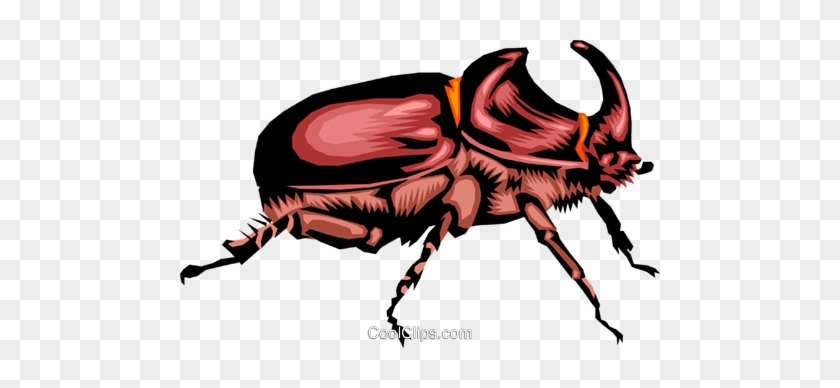 Beetle Royalty Free Vector Clip Art Illustration - Beetle Royalty Free ...